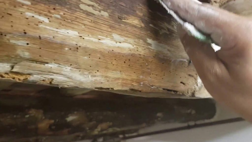 Cómo reparar piso de madera levantado 【2025 】 ️ Bricolaje